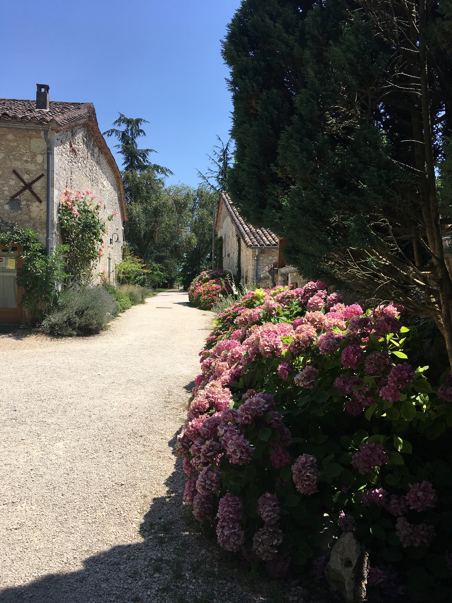 About Lorinda – Lorinda Brinton